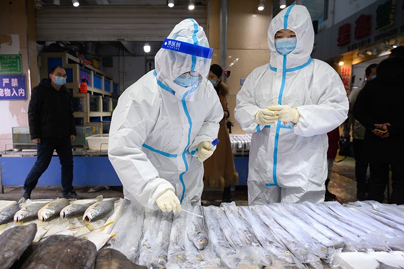 China extends Covid-19 testing to fish | Ghana News Agency