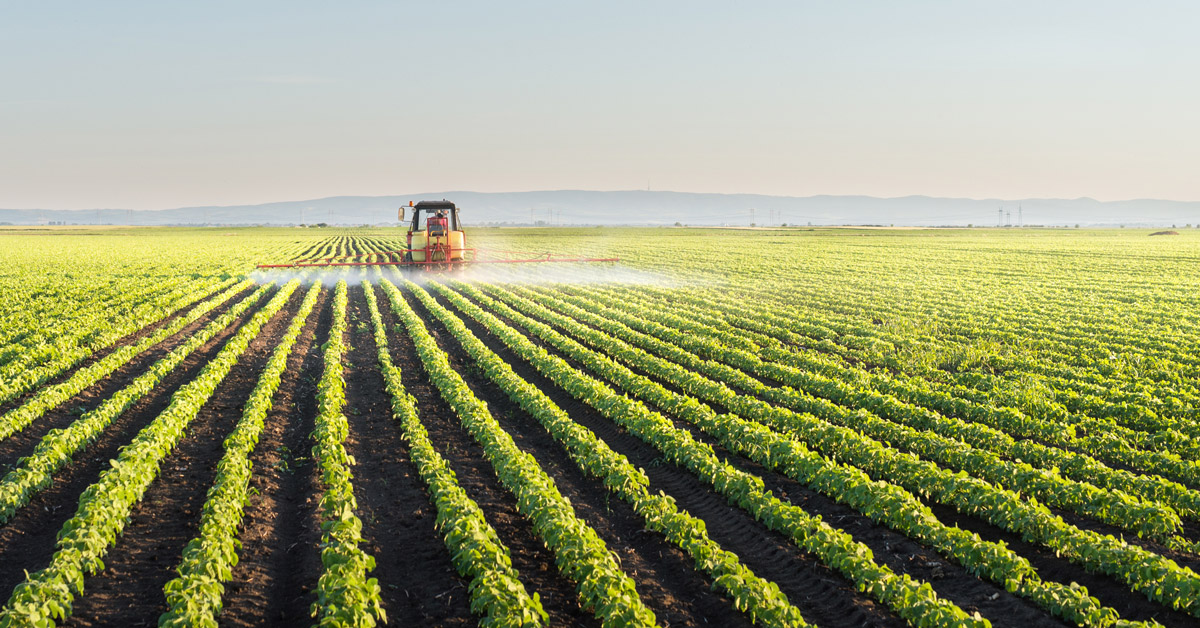 CLIMATE project improves crop yields | Ghana News Agency