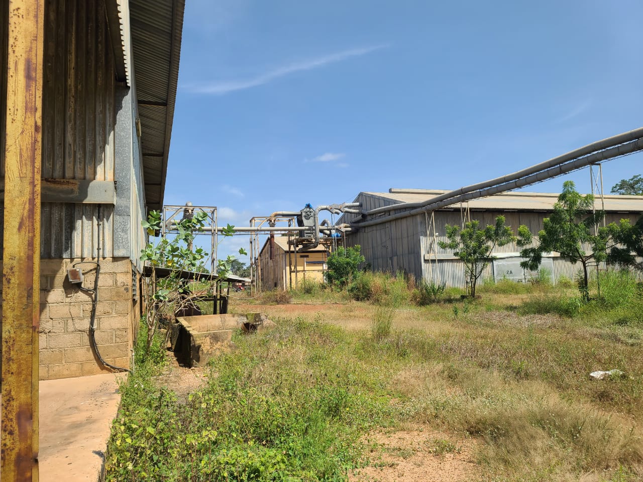 Government urged to consider operationalising cotton ginnery at Tumu ...