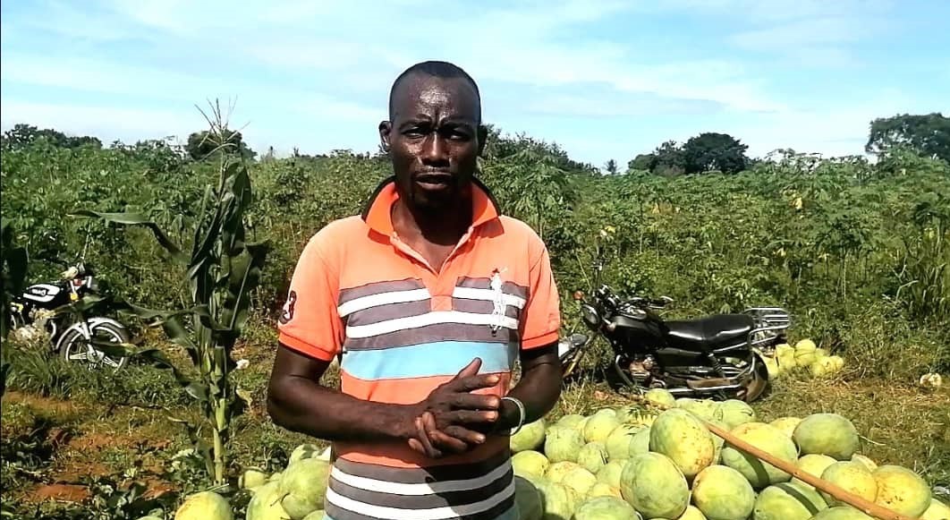 Farmer appeals for Government support to increase food production ...