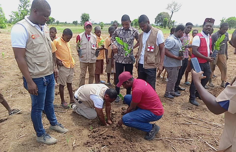 Ghana Red Cross Society plants 30,000 trees in UWR | Ghana News Agency