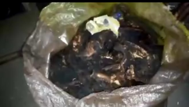 Suspected cow meat infected with anthrax confiscated | Ghana News Agency