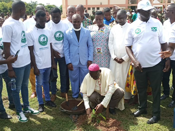 MMDAs urged to incorporate landscaping, tree planting into by-laws for ...