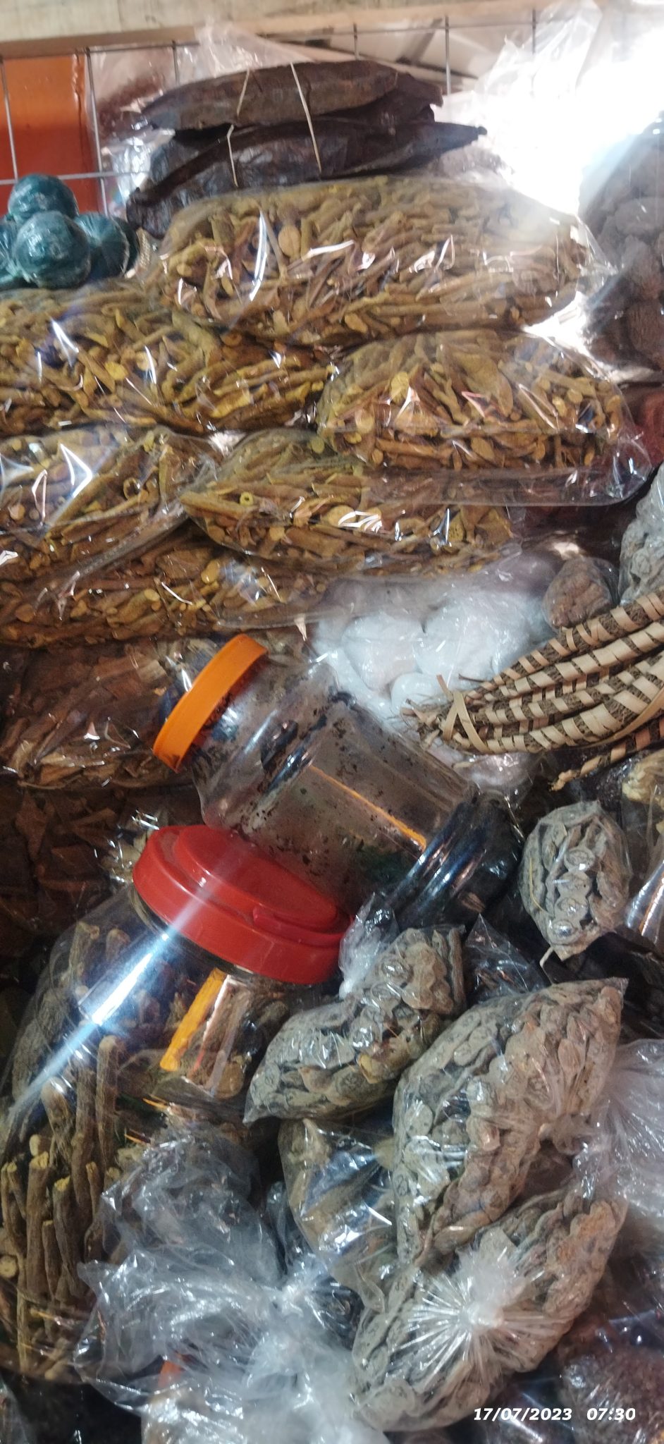 More women using aphrodisiacs – Vendors | Ghana News Agency
