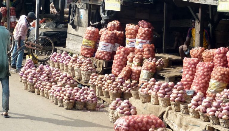 Niger border closure: Onion sellers fear shortage | Ghana News Agency
