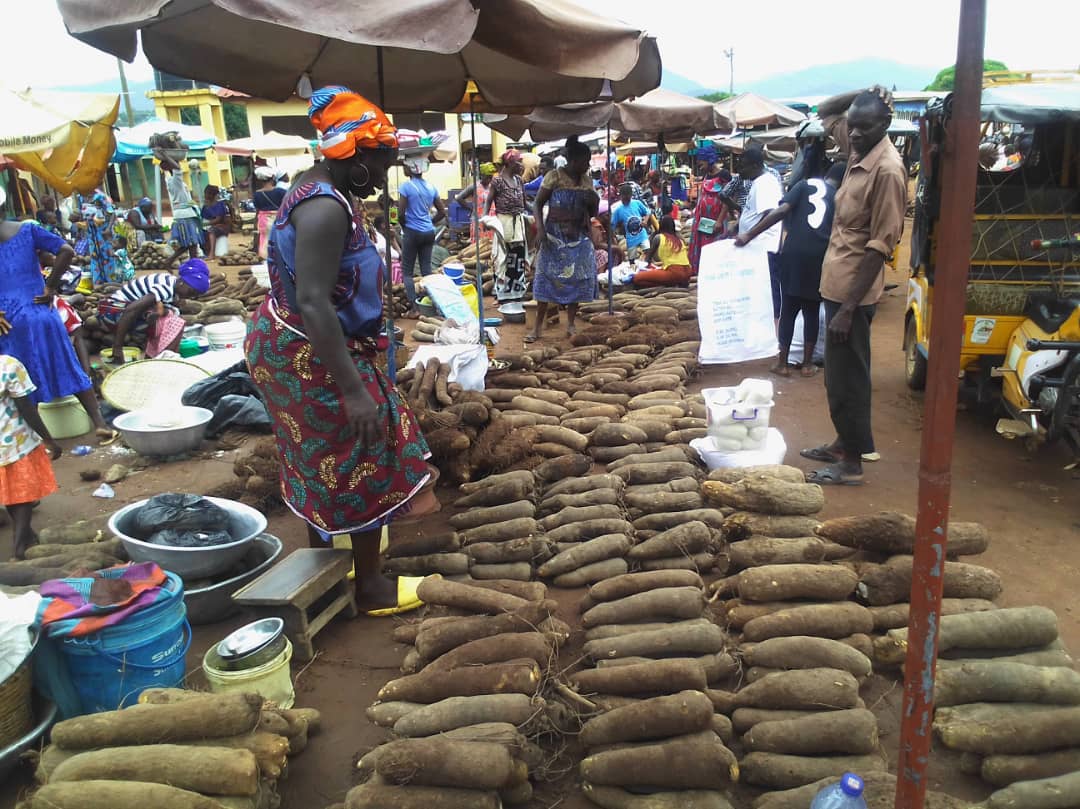 Hike in foodstuff at Nkwanta attributed to farm inputs | Ghana News Agency