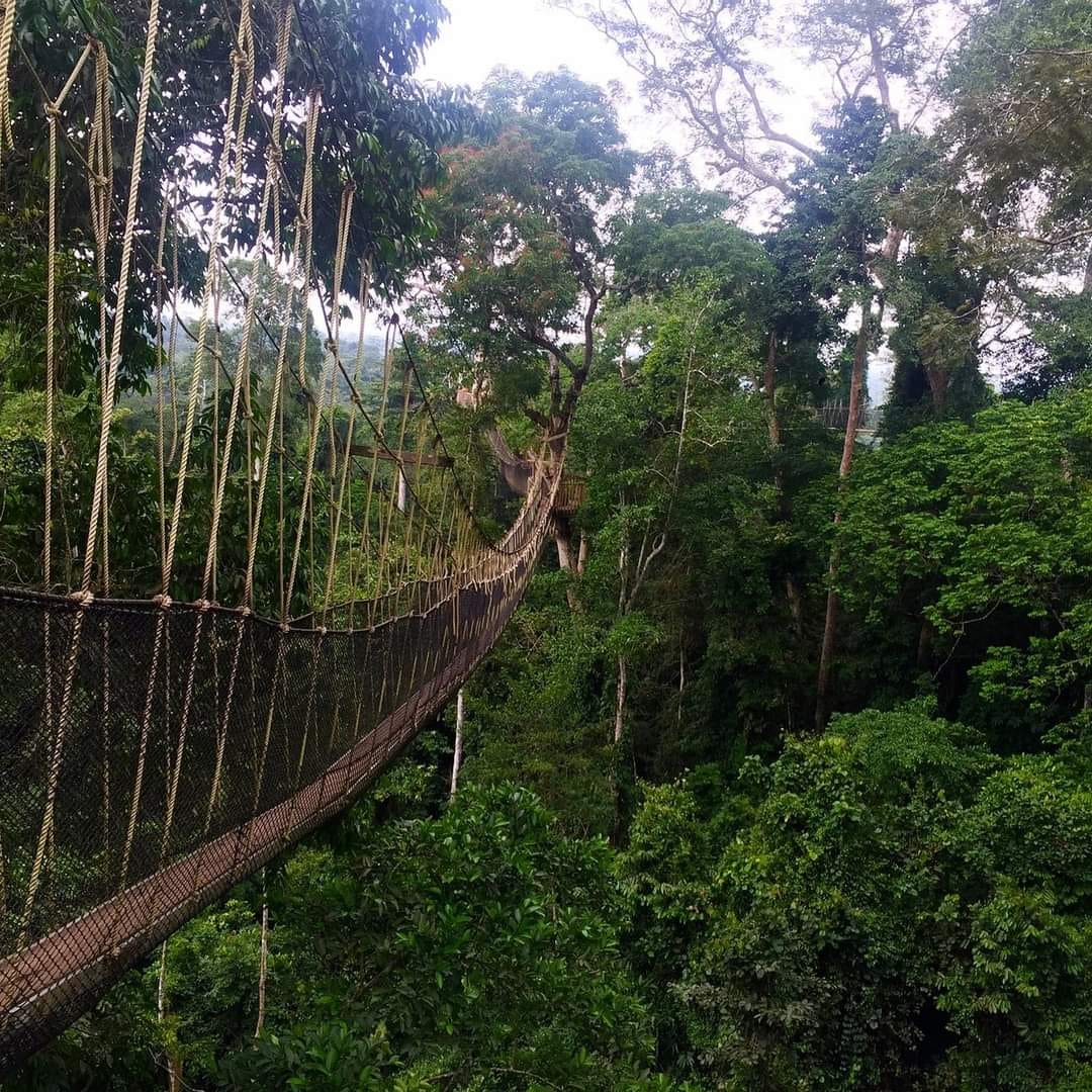 Kakum residents oppose any move to mine in Forest Reserve | Ghana News ...