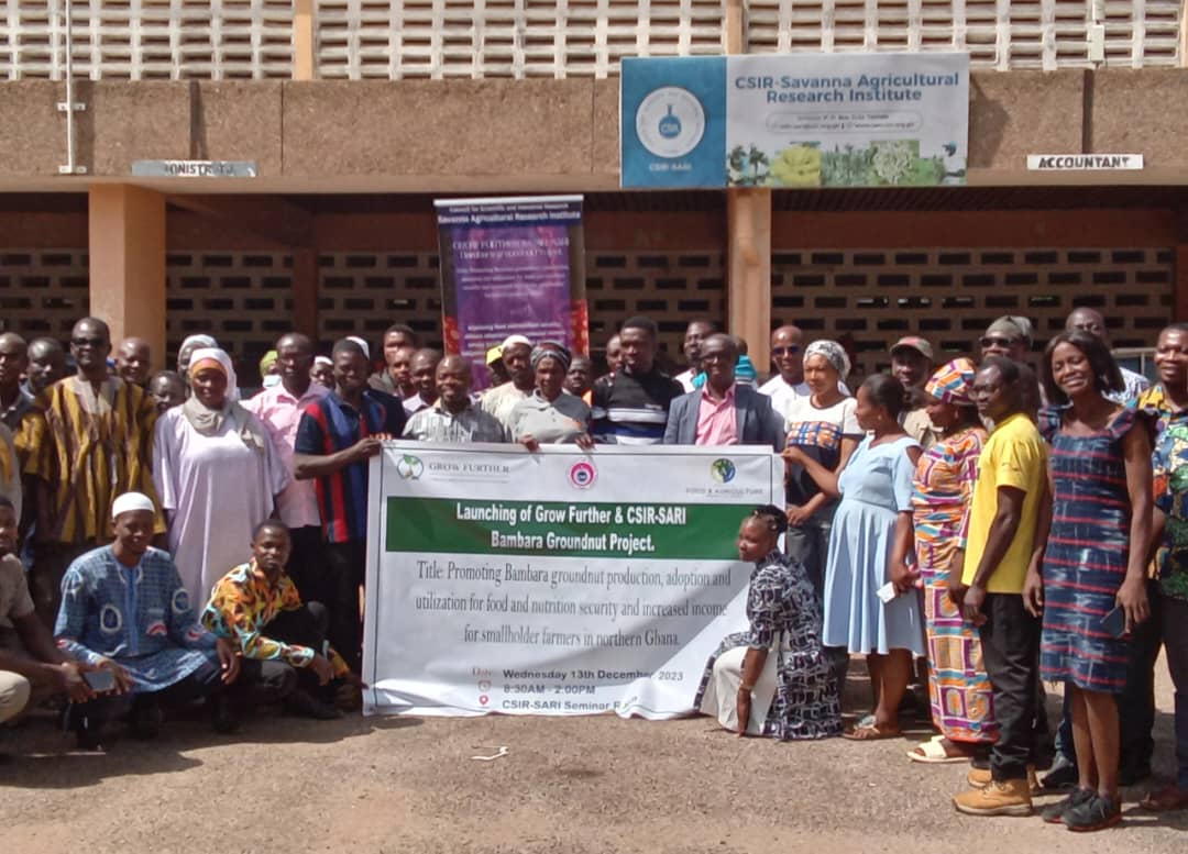 CSIR-SARI launches bambara groundnut project, targets 80,000 farmers ...