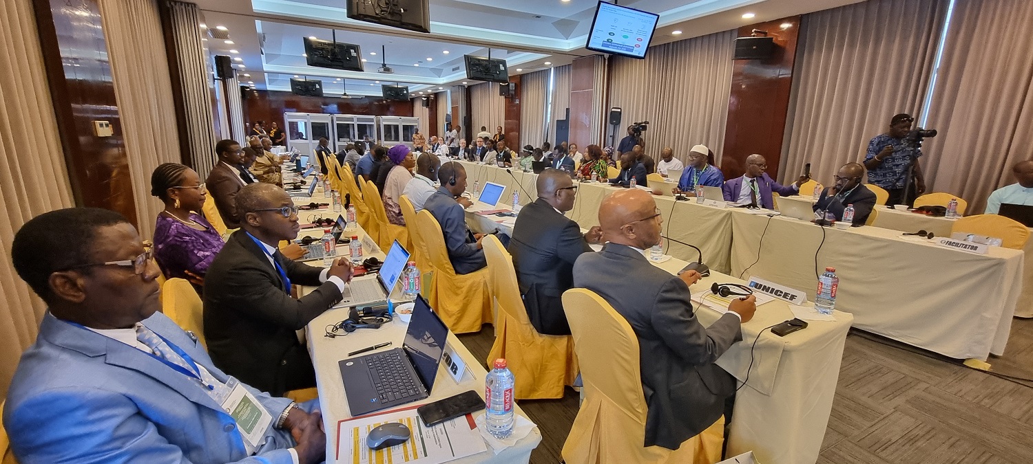 ECOWAS must speed up human capital development for economic growth ...