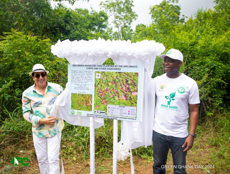 Members of Diplomatic Corps plant trees to mark Green Ghana Day | Ghana ...