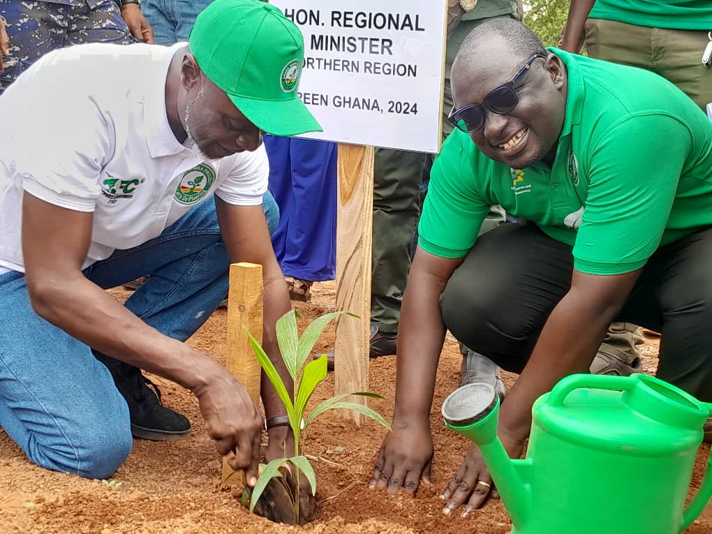 Forestry Commission, Regional Minister lead tree planting in Northern ...
