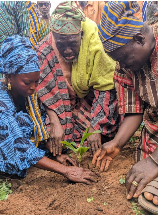 Eco Restore launches 2024 tree growing season | Ghana News Agency