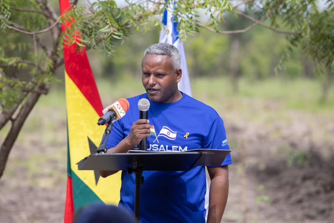 Green Ghana Day: Israeli Embassy plants more than 1000 trees in ...
