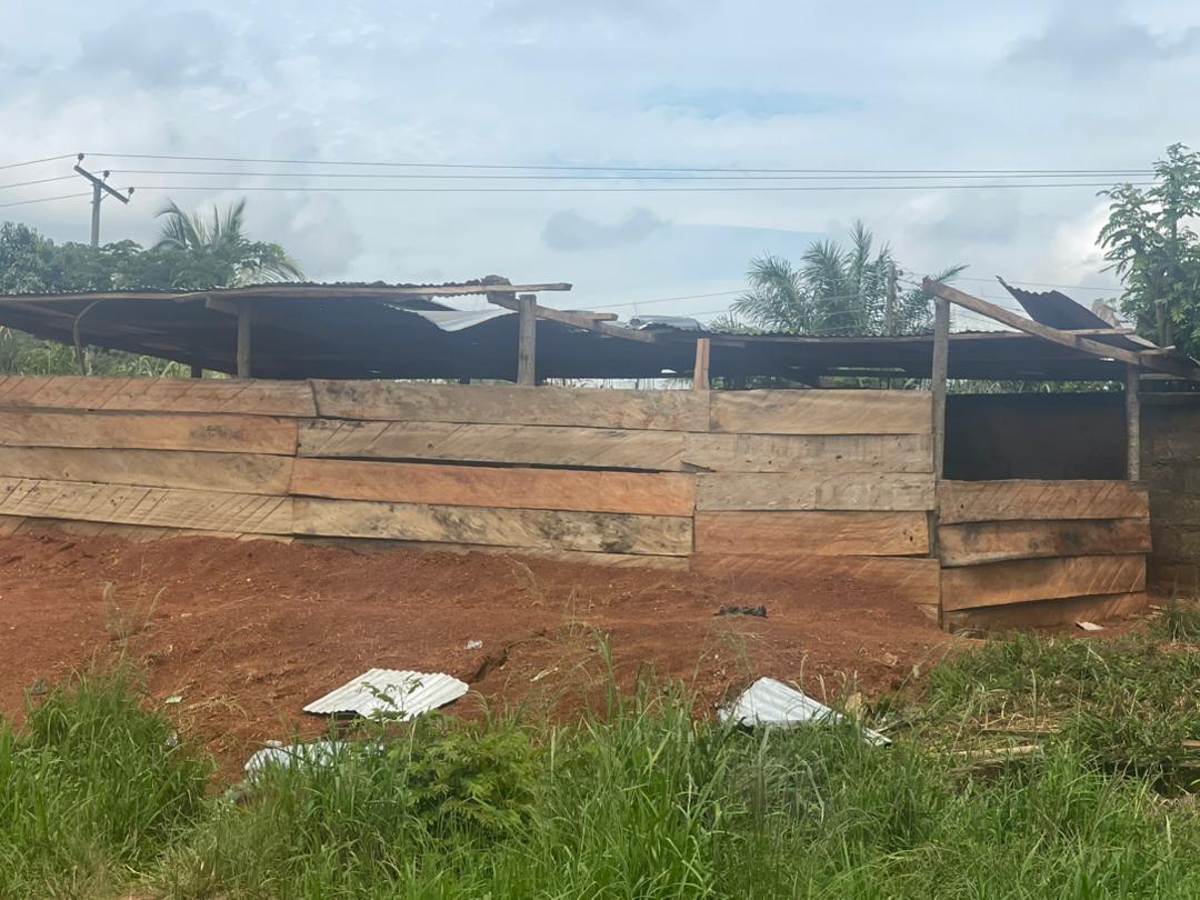 Yamfo SHS appeals for toilets to improve students’ hygiene | Ghana News ...