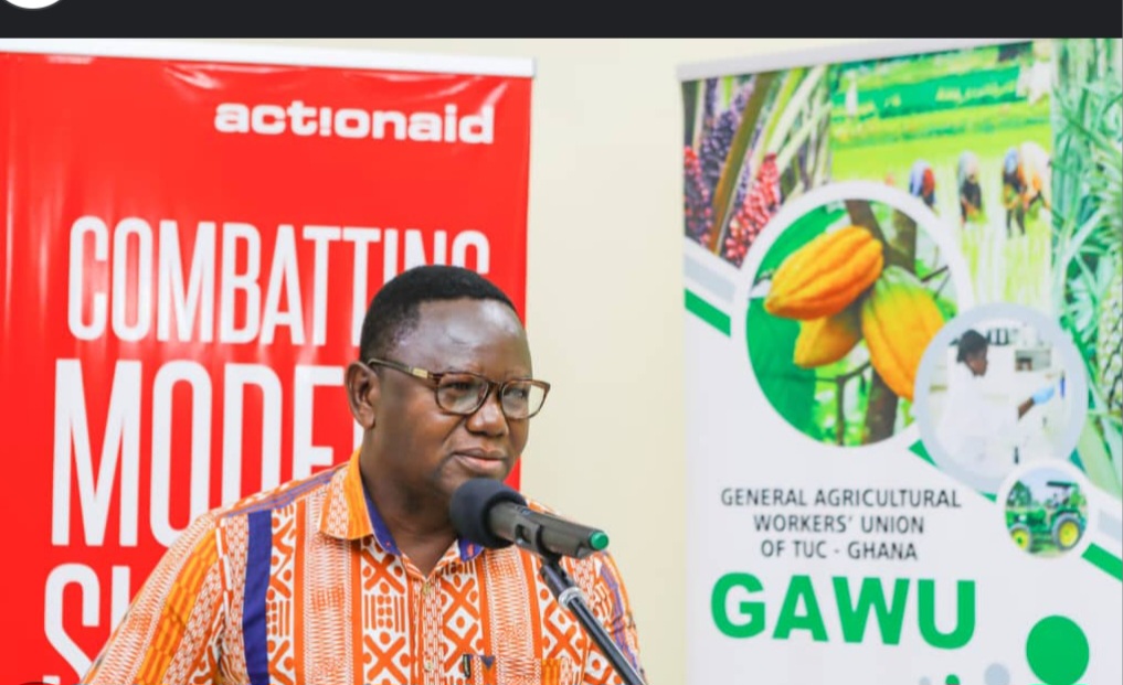 Galamsey is the cause of high cost of vegetables — GAWU | Ghana News Agency