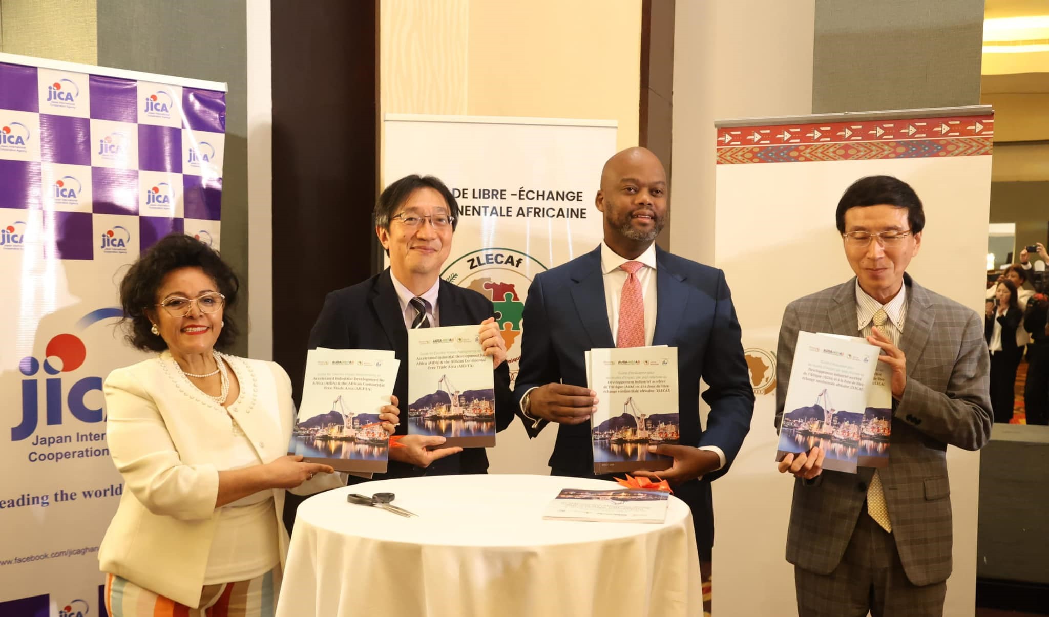 African Union Development Agency outdoors Guide for Country Impact ...