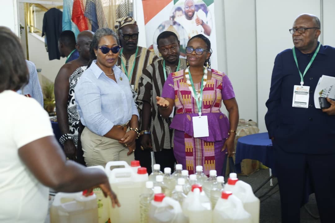 Coconut Festival: GEPA commits to supporting Ghana's coconut industry ...