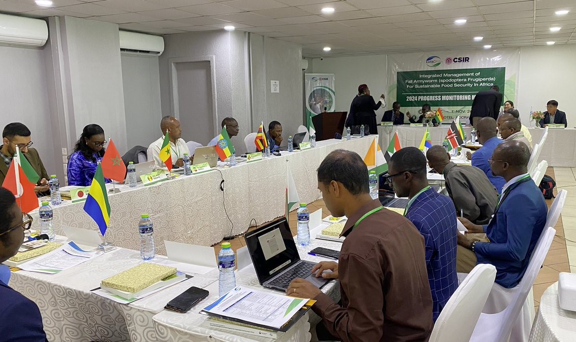 CSIR-Ghana leads charge in combatting Fall Armyworm with KAFACI | Ghana ...