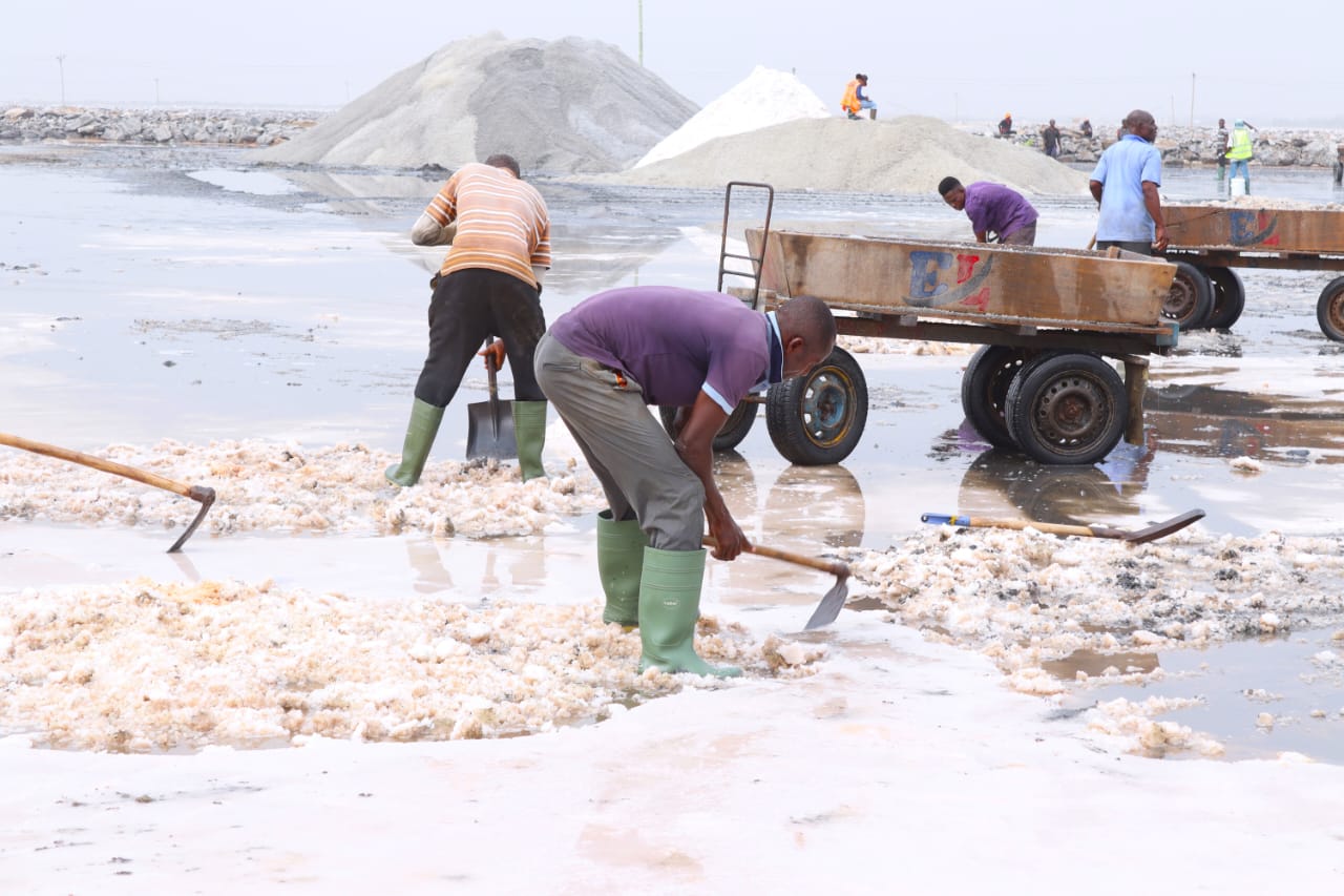 3,200 jobs on offer as salt harvesting begins in Ada | Ghana News Agency