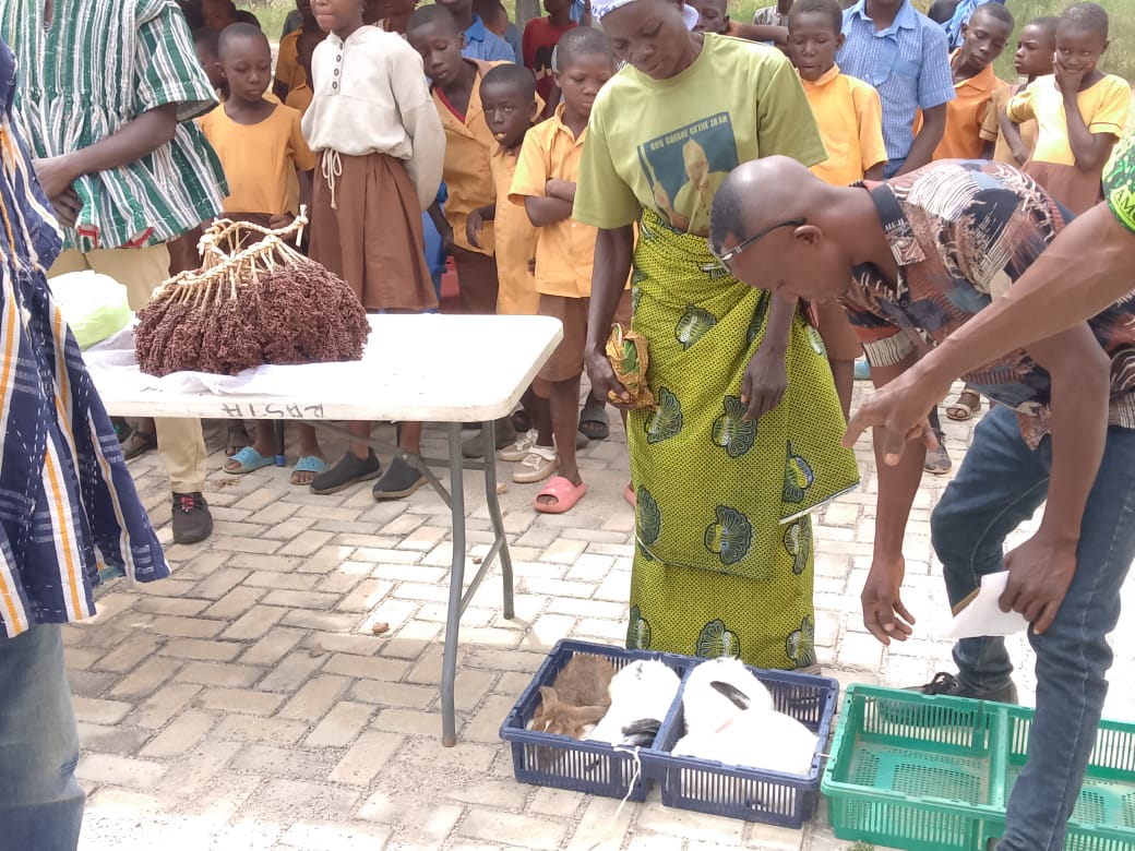 In Pics: Farmers Day in Zuarungu, Upper East | Ghana News Agency
