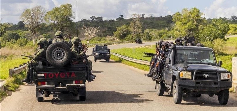 South Africa steps up law enforcement efforts along border with ...