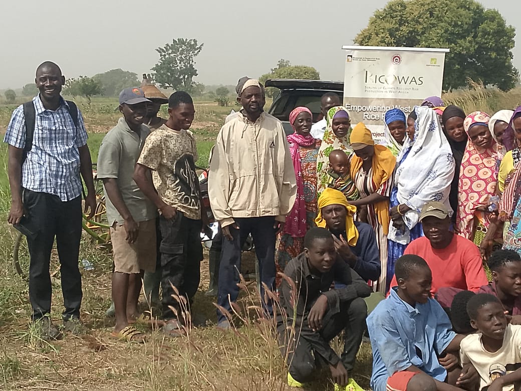 CSIR-SARI showcases SRI technology to scale up climate-resilient rice ...
