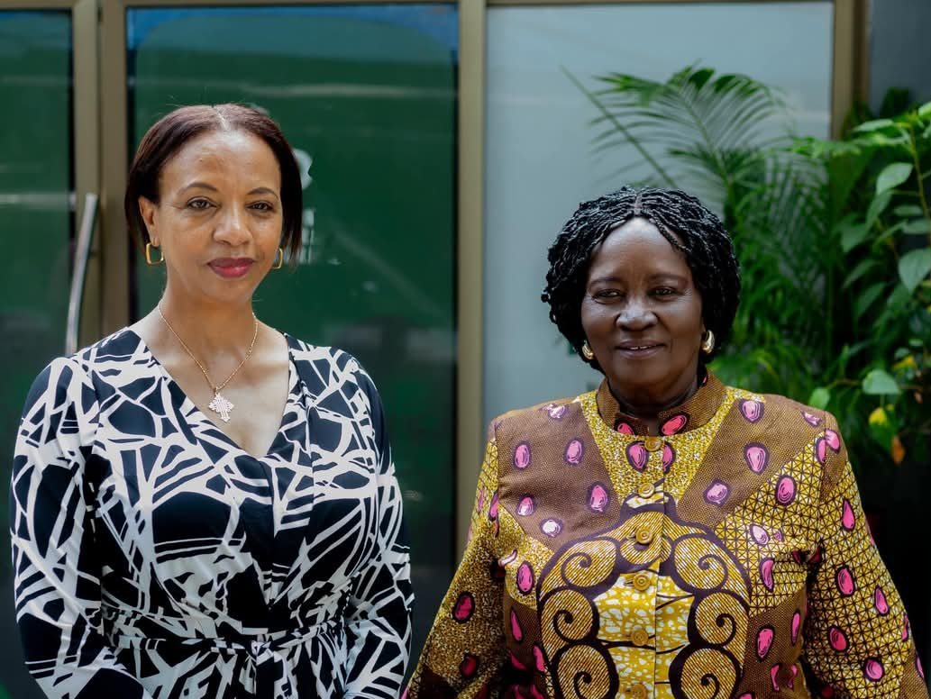 Vice President-elect holds discussions with Country Manager of African ...