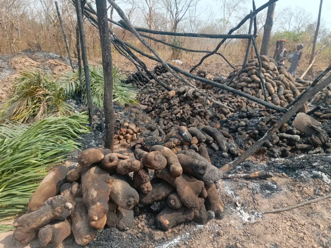 Bushfire sets another yam barn ablaze, farmers appeal for help | Ghana ...