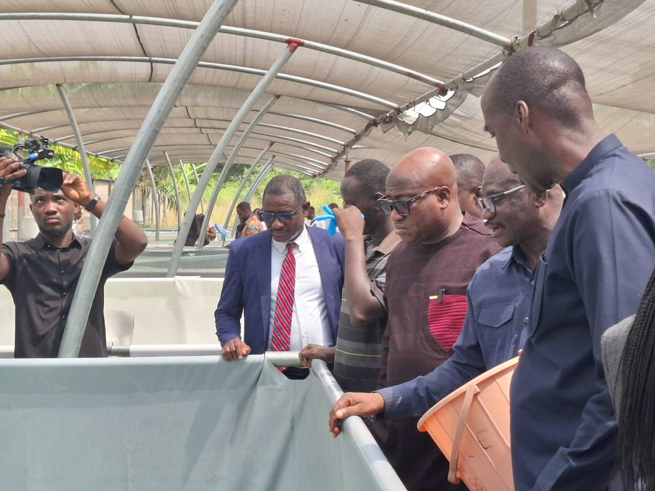 15 CSIR research projects in danger over USAID funding cut | Ghana News ...