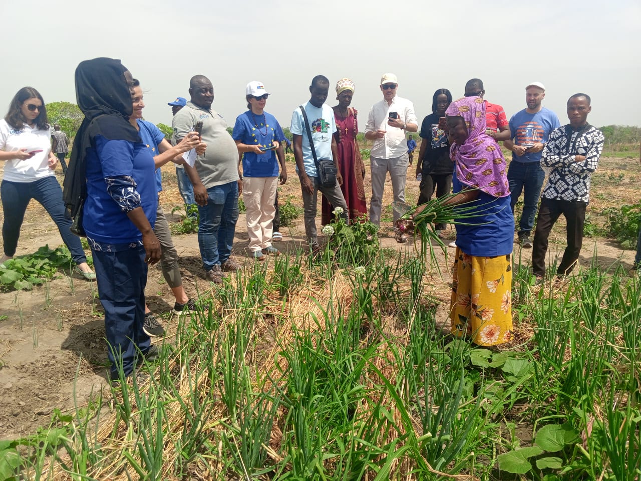 EU praises MOAP-NW for enhancing agricultural productivity and ...