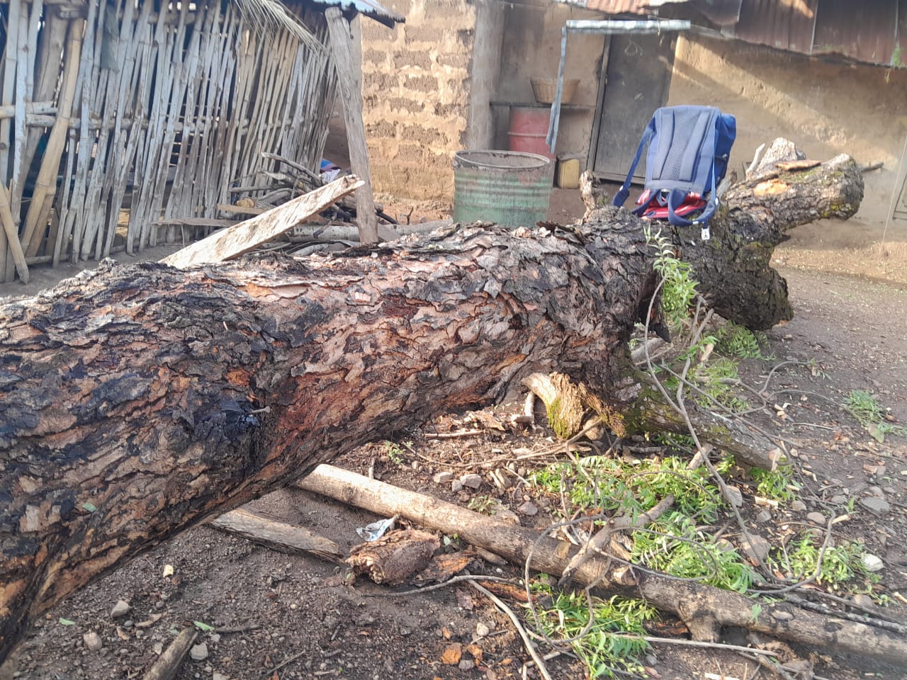 Thousands left homeless as strong winds ravage Asukawkaw community ...