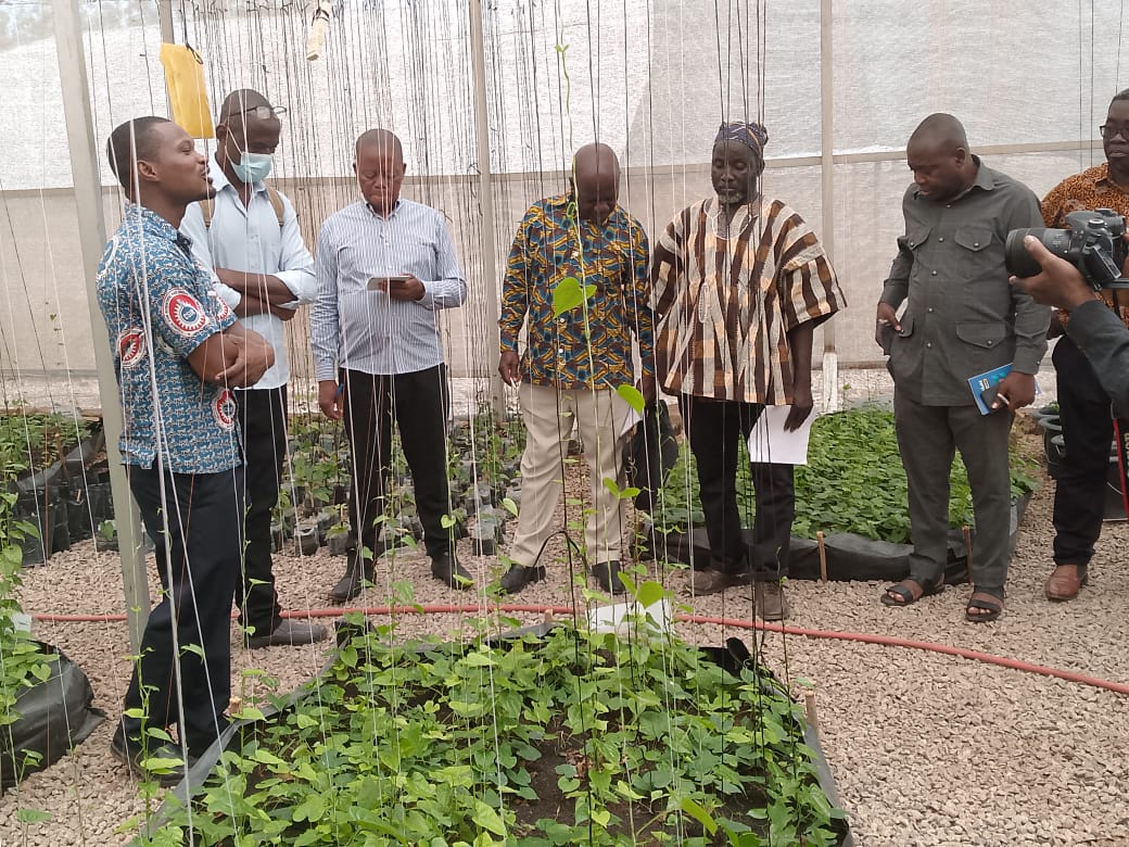 CSIR-SARI, JIRCAS introduce yam variety identification technology ...