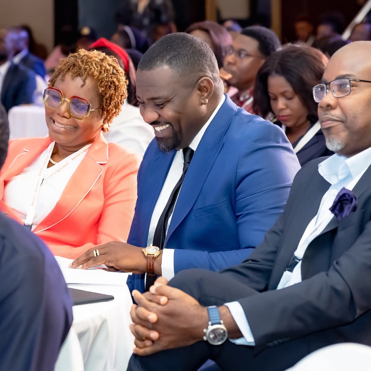 Ghana’s Agri-SMEs get boost with Bridge-in Agriculture Programme ...