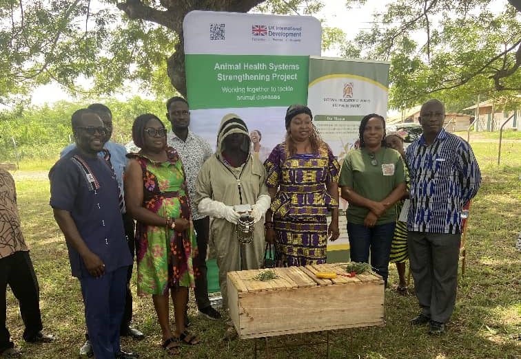 Women Bee farmers receive training on beekeeping and management | Ghana ...