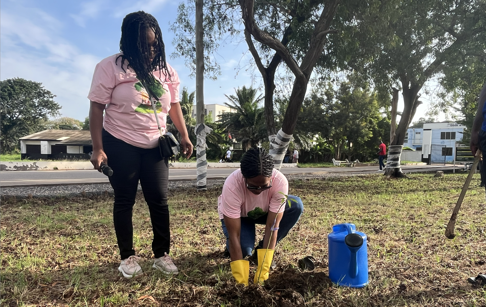 Time to plant, nurture tree seedlings | Ghana News Agency