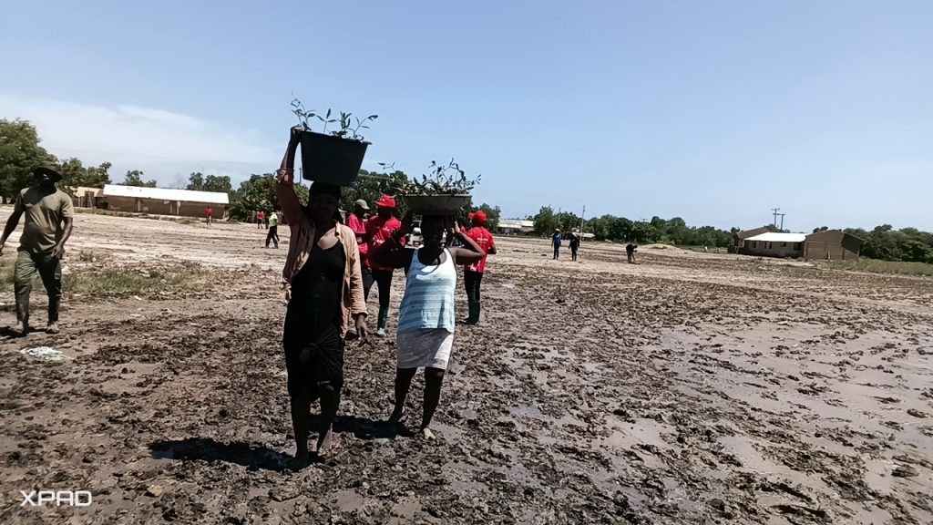 Prudential Insurance, partners plant 5,300 trees in Ada | Ghana News Agency