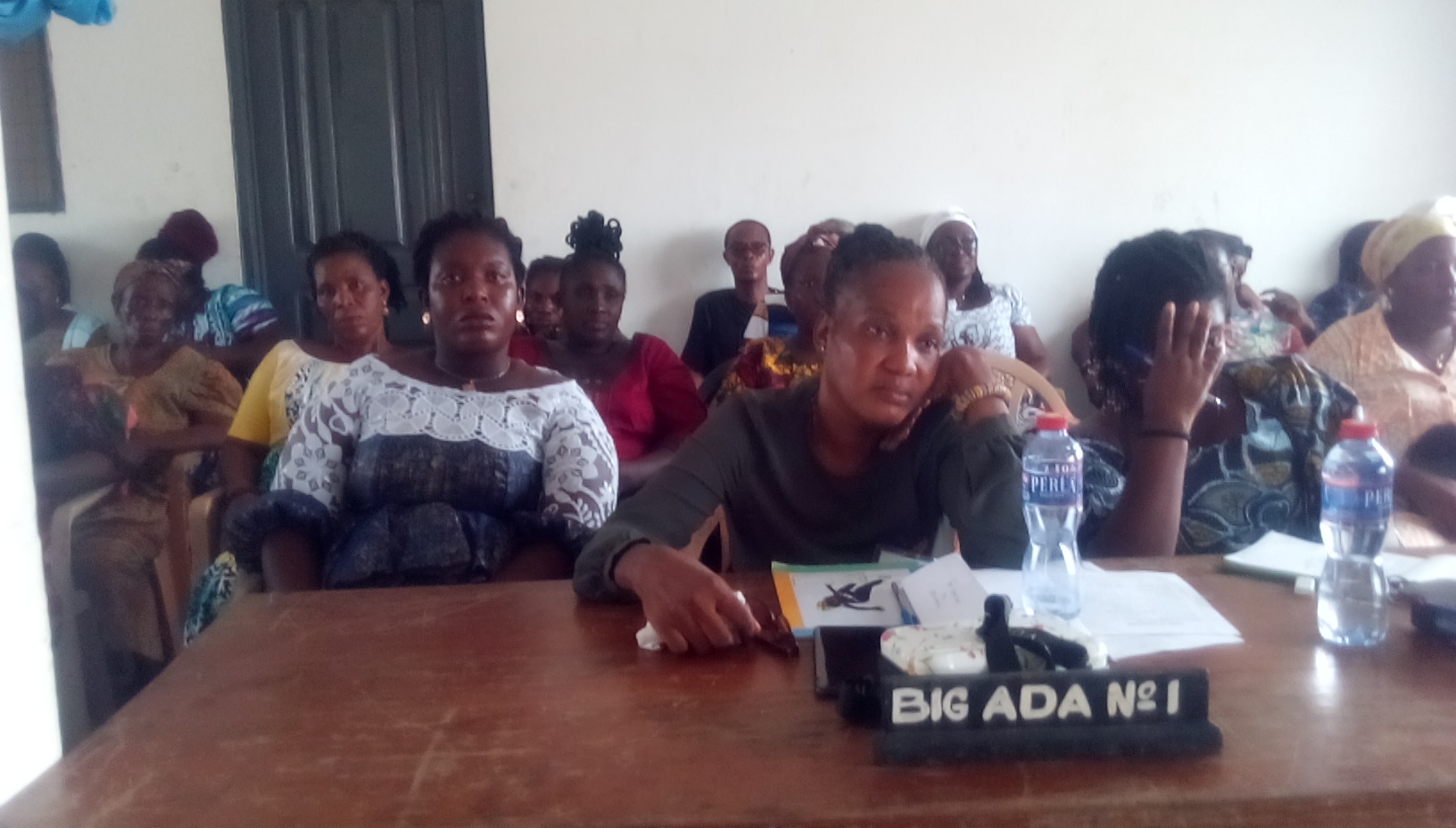 Ada Youth Organisation inaugurates disciplinary, constitution review ...