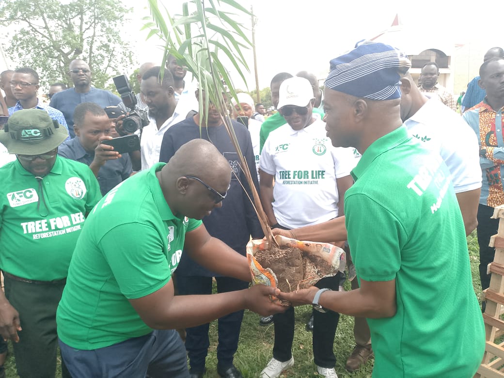 High ranking officials join Forestry Commission to plant trees in ...