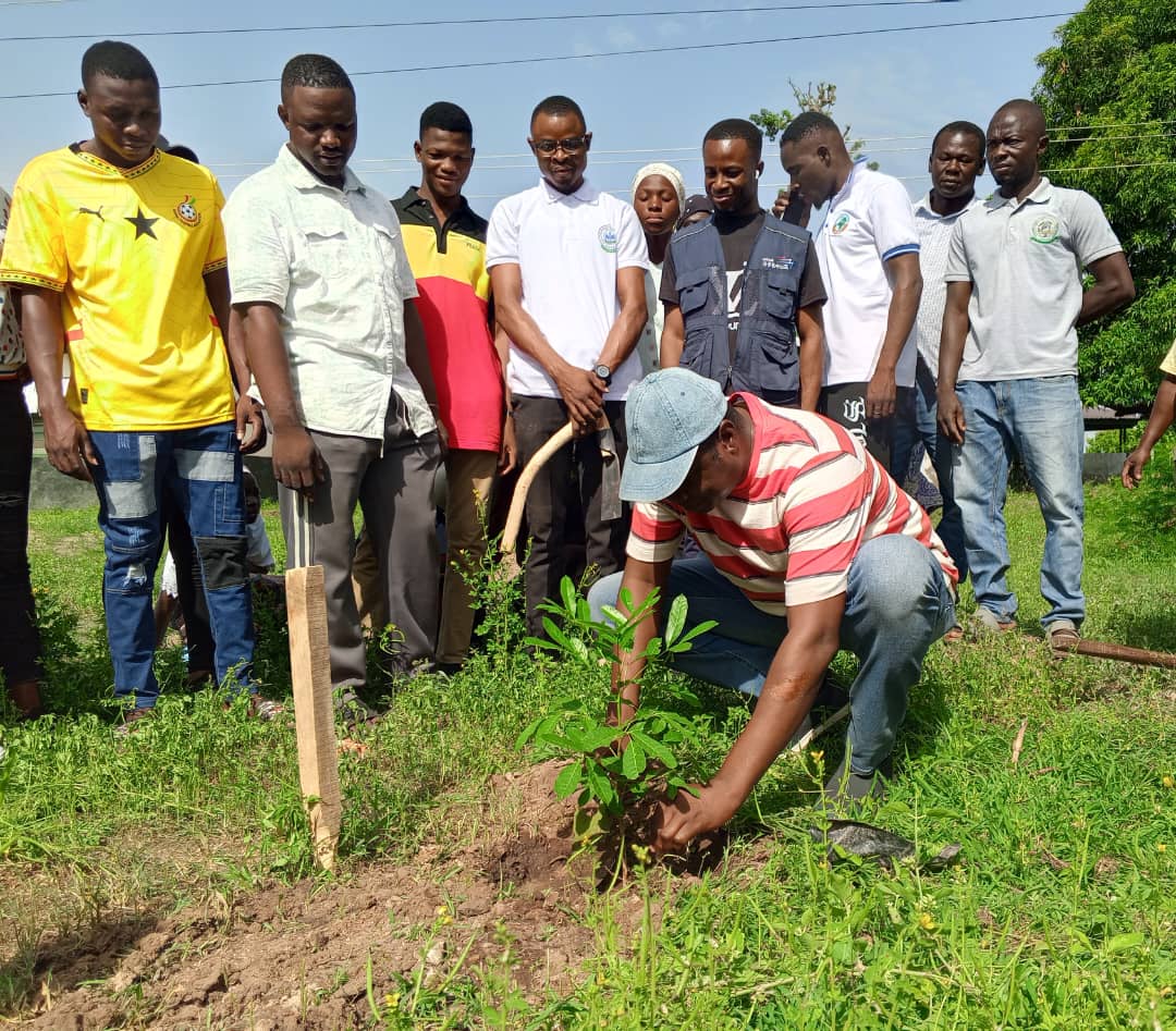 Climate Action: SDD-UBIDS launches project to plant over 70,000 trees ...