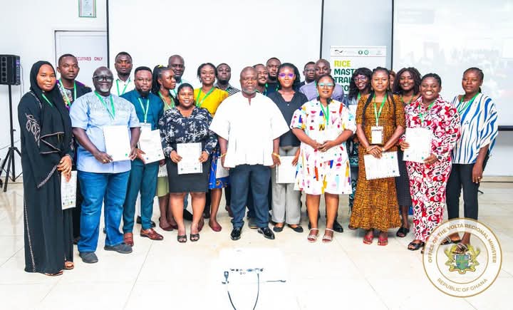 Ghana pushes rice revolution as 90 trainees graduates | Ghana News Agency