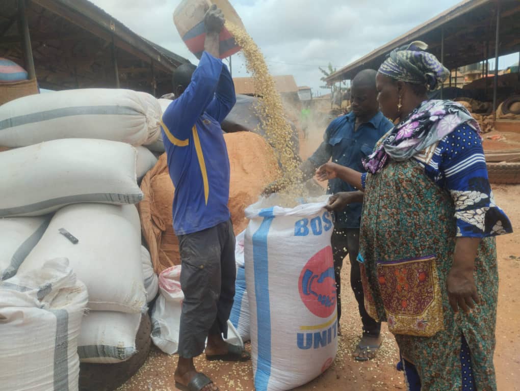Price of maize decreases marginally in Techiman Central market | Ghana ...