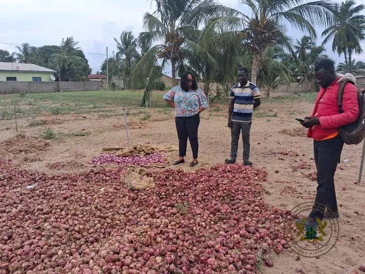 Anloga DCE Advocates Market for Onion Farmers | Ghana News Agency