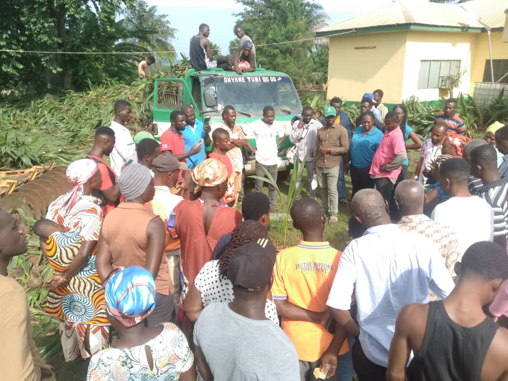 Nkoranza Municipal Directorate of Agriculture trains farmers resilient ...