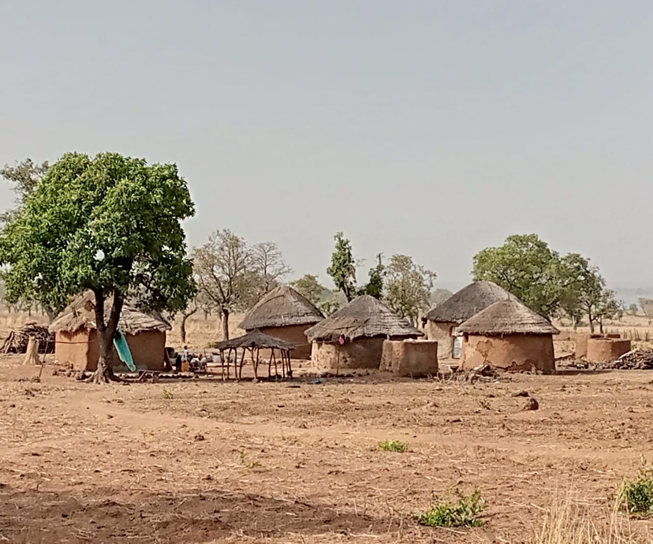 Fulbe Settlement appeals for potable water source | Ghana News Agency