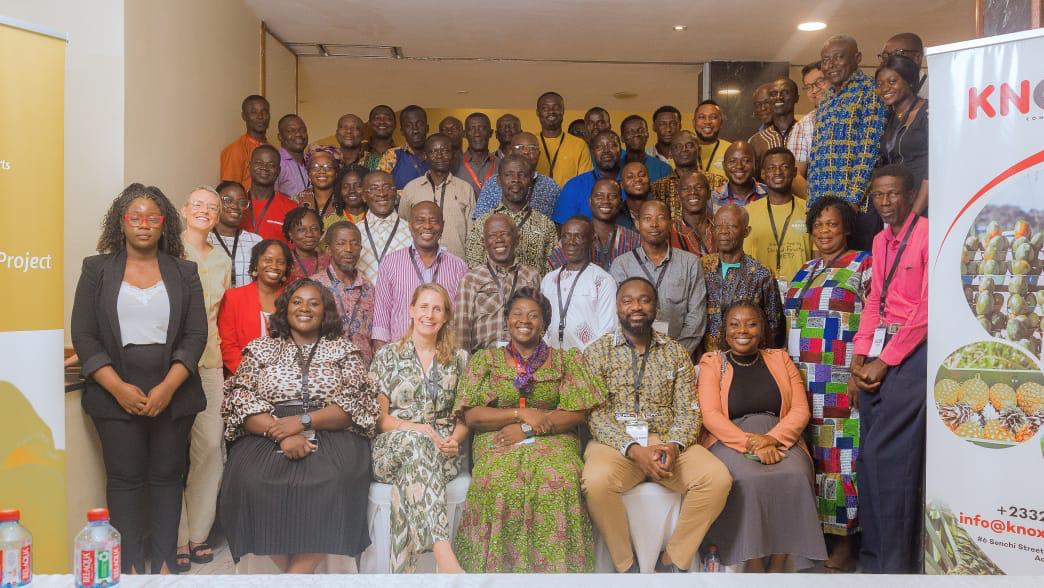 Ghana’s tropical fruits in high demand in key international markets ...
