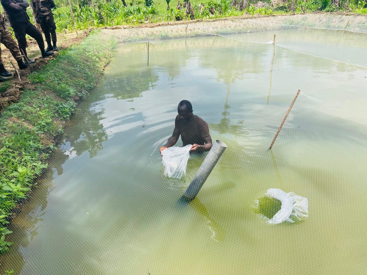 Fisheries Commission supports Sunyani Central Prisons fish farming ...