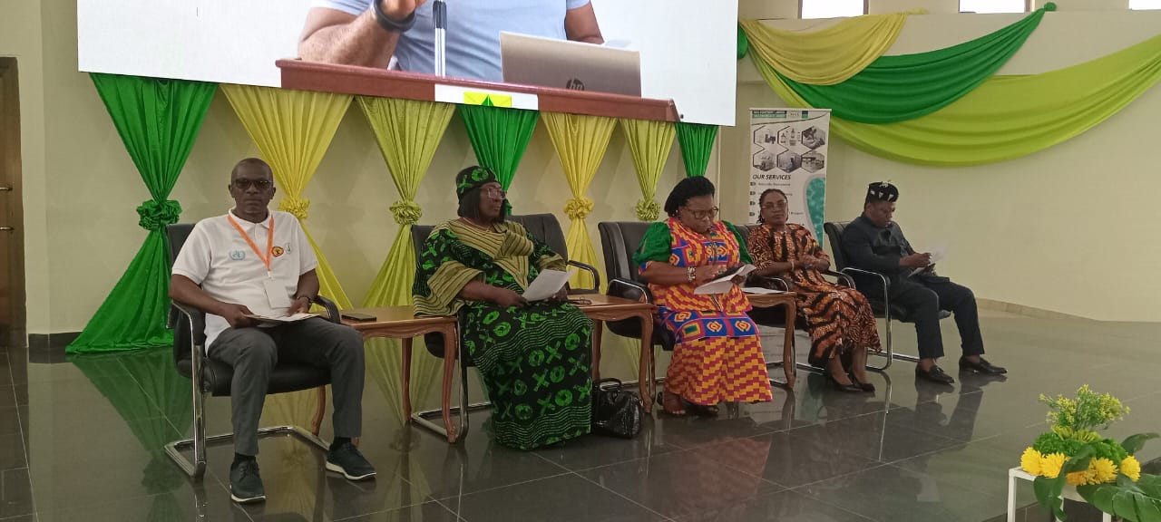 Traditional medicine vital to Ghana's healthcare system – Health ...