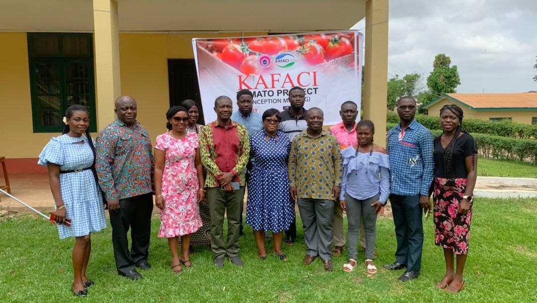 CSIR-CRI launches KAFACI Tomato Project to develop heat-tolerant ...