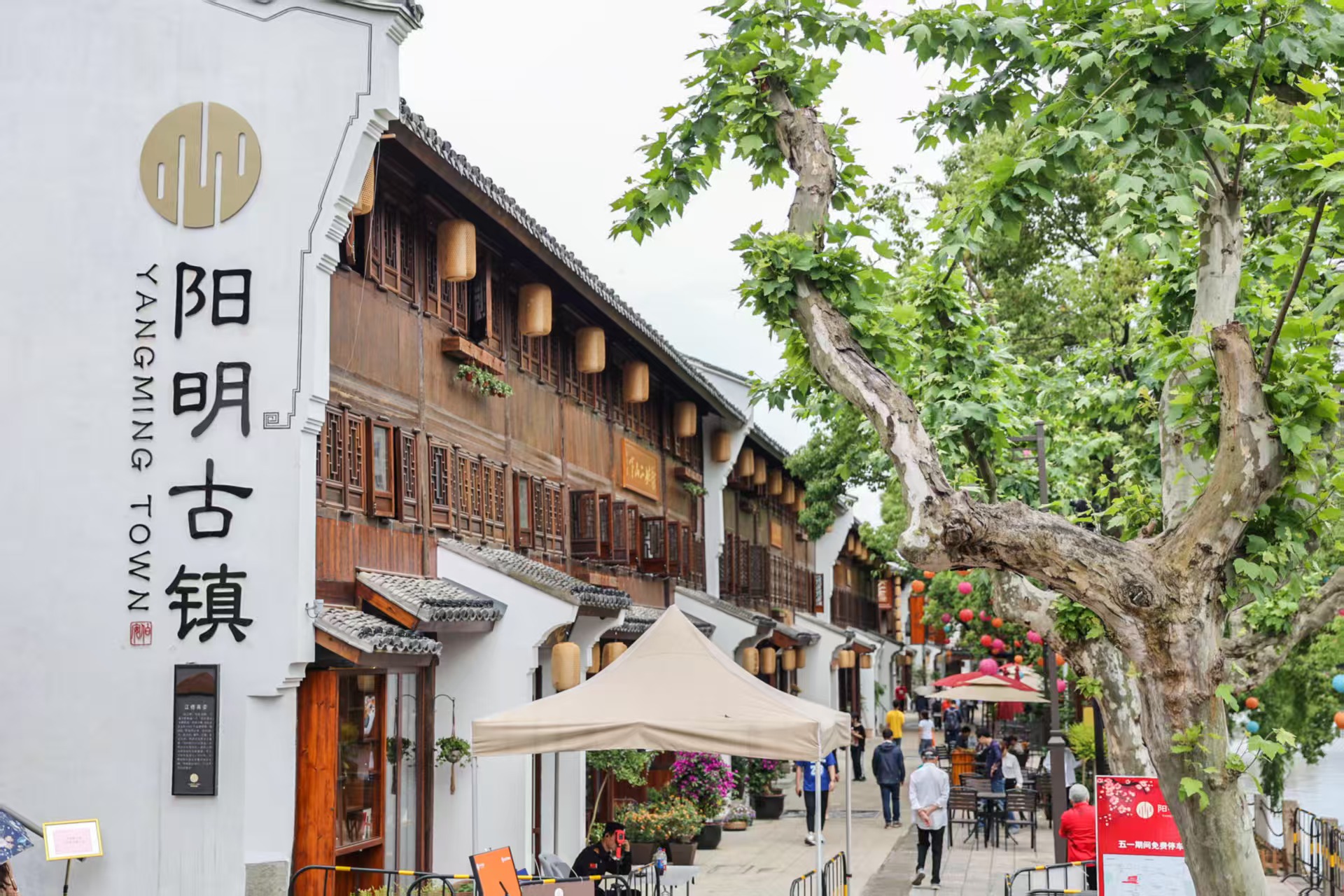The 2025 Conference on Wang Yangming Mind Philosophy opens in Yuyao ...