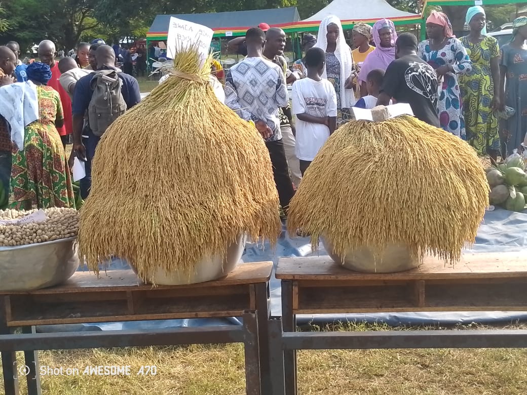 Dambai rolls out the red carpet for National Farmers Day | Ghana News ...